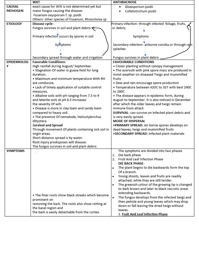 Guava MPP 2 | PDF | Leaf | Soil