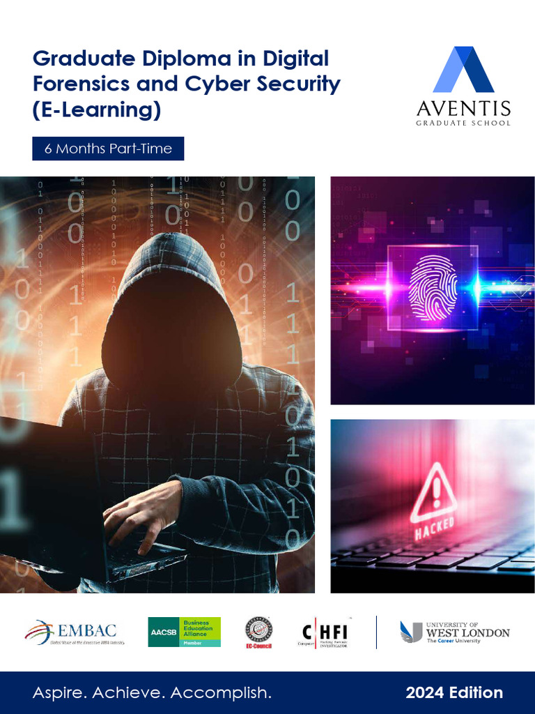 Aventis Brochure - GDDFCS 2024 - 240219 - 211231 | PDF | Computer Security | Security