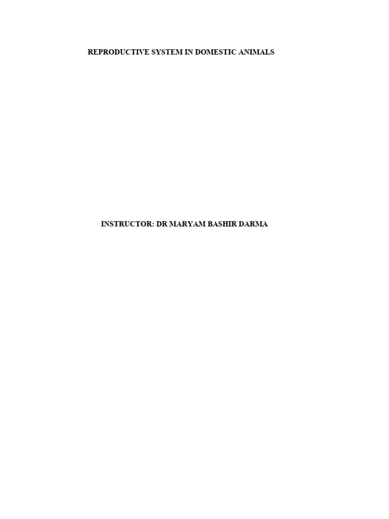 Reproductive System in Domestic Animals Note | PDF | Uterus | Testicle