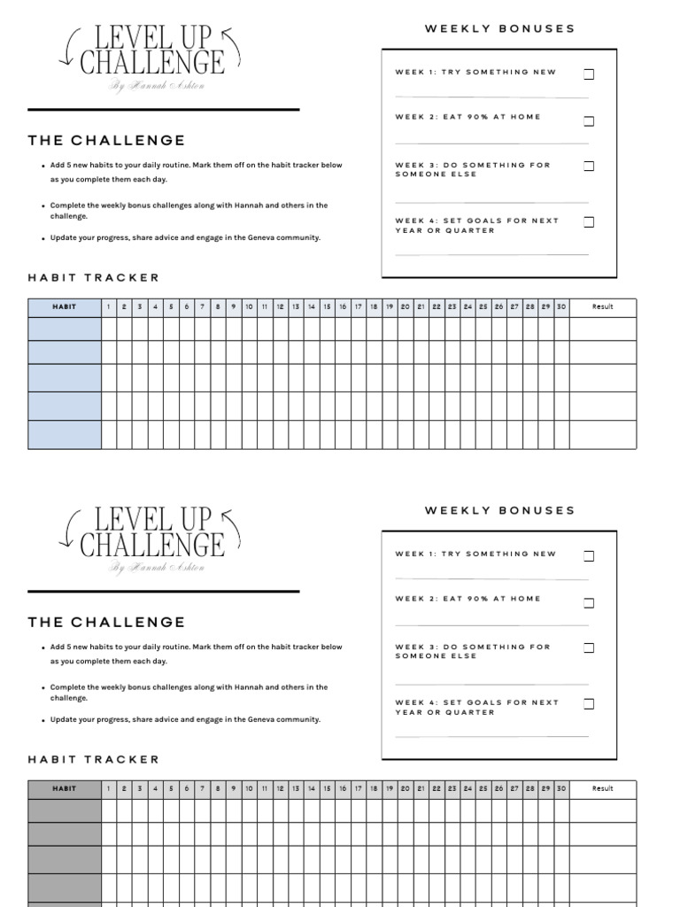 Level Up Challenge Worksheets | PDF