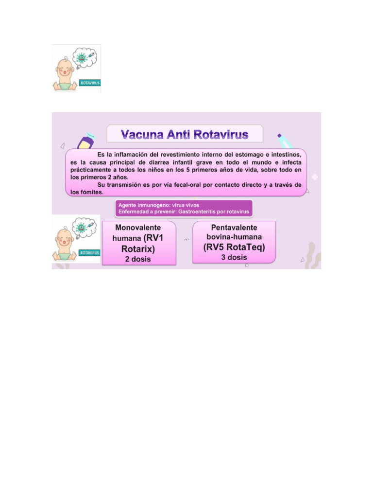 Vacuna Rotavirus | PDF