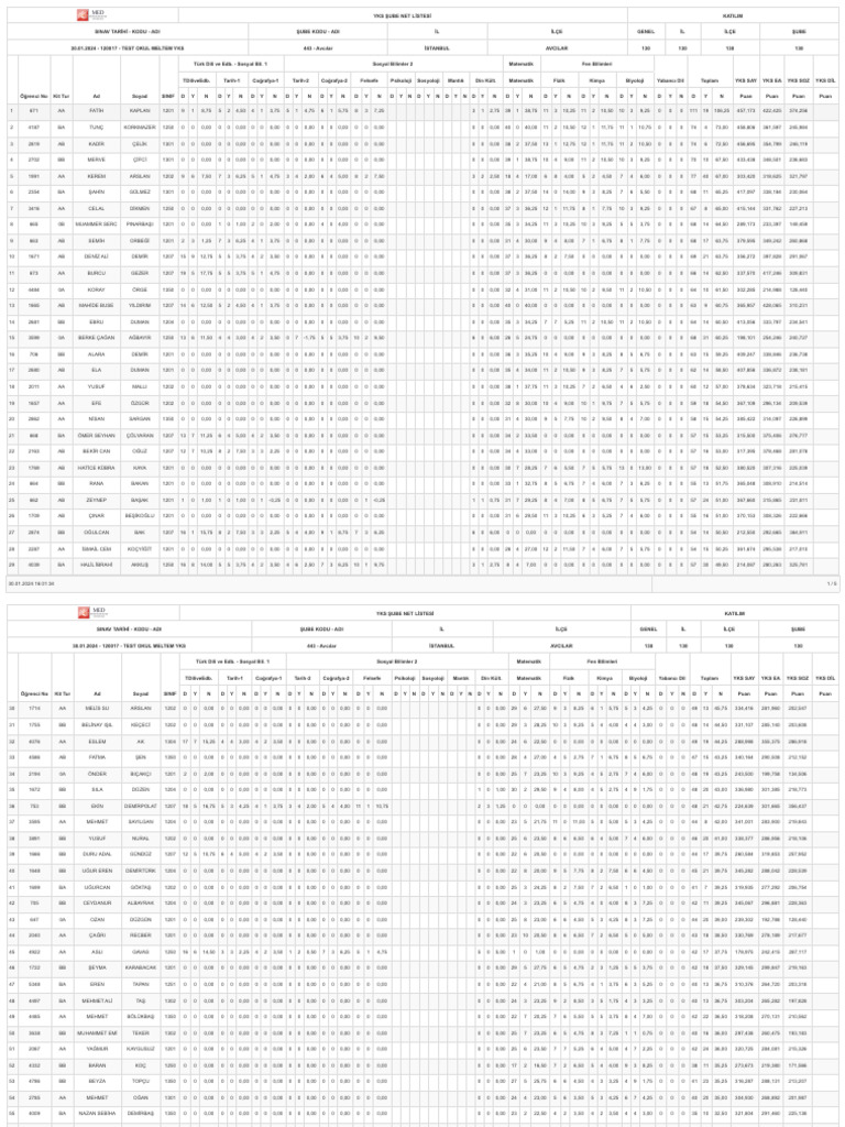Netice Meltem AYT | PDF