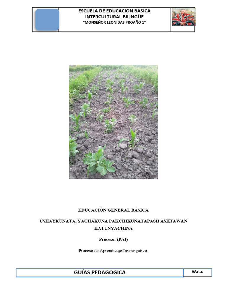 Guía U56-C3 8VO KICHWA | Descargar gratis PDF | Modificación de comportamiento | Aprendizaje