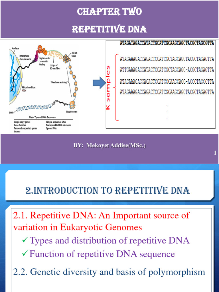Chapter 2 | PDF | Transposable Element | Genome