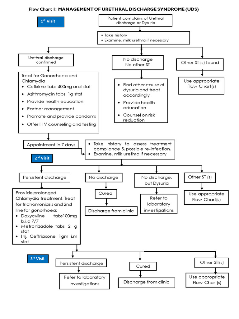 3.b . STI Flow Chart_28!08!17 | PDF | Sexually Transmitted Infection ...