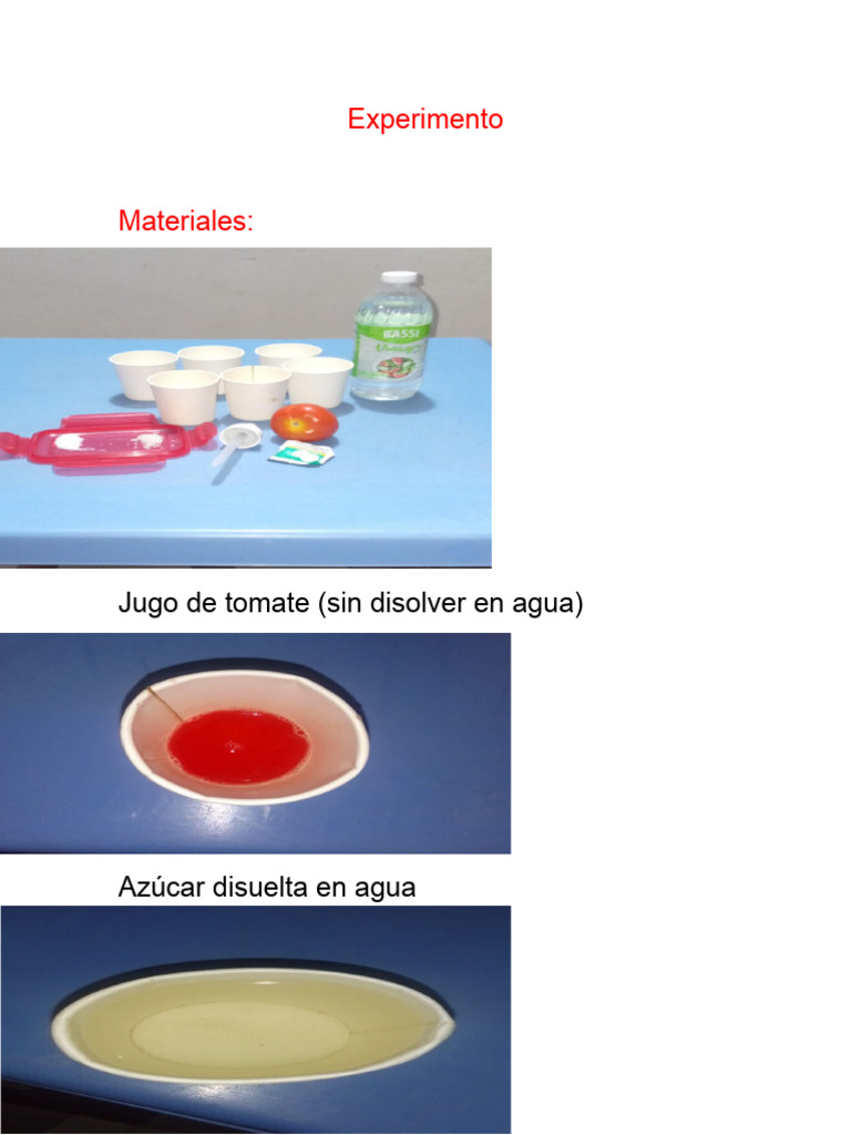 Experimento 1 | PDF | Gusto
