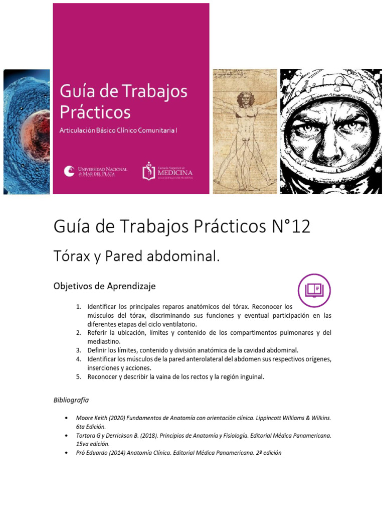 Arti 1. 2024 TP N12. TX y Abd | PDF | Abdomen | Tórax