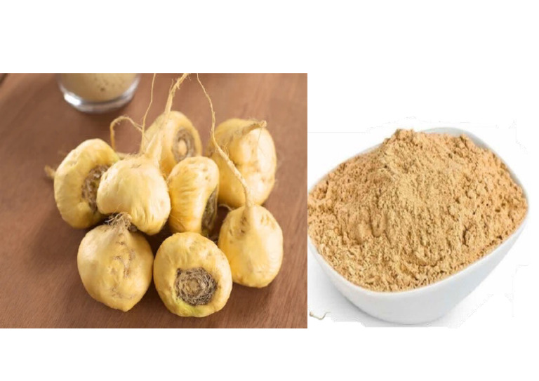 MACA | PDF MACA | PDF