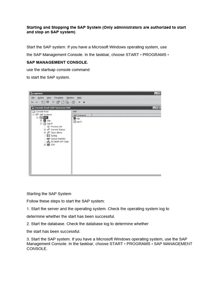 Starting and Stopping The SAP System | PDF | Operating System | Command Line Interface
