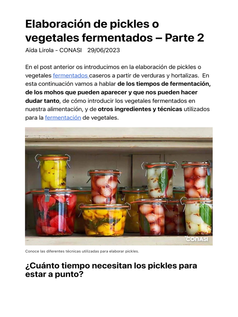 Elaboración de Pickles o Vegetales Fermentados - Parte 2 - Conasi | PDF | Decapado | Vegetales
