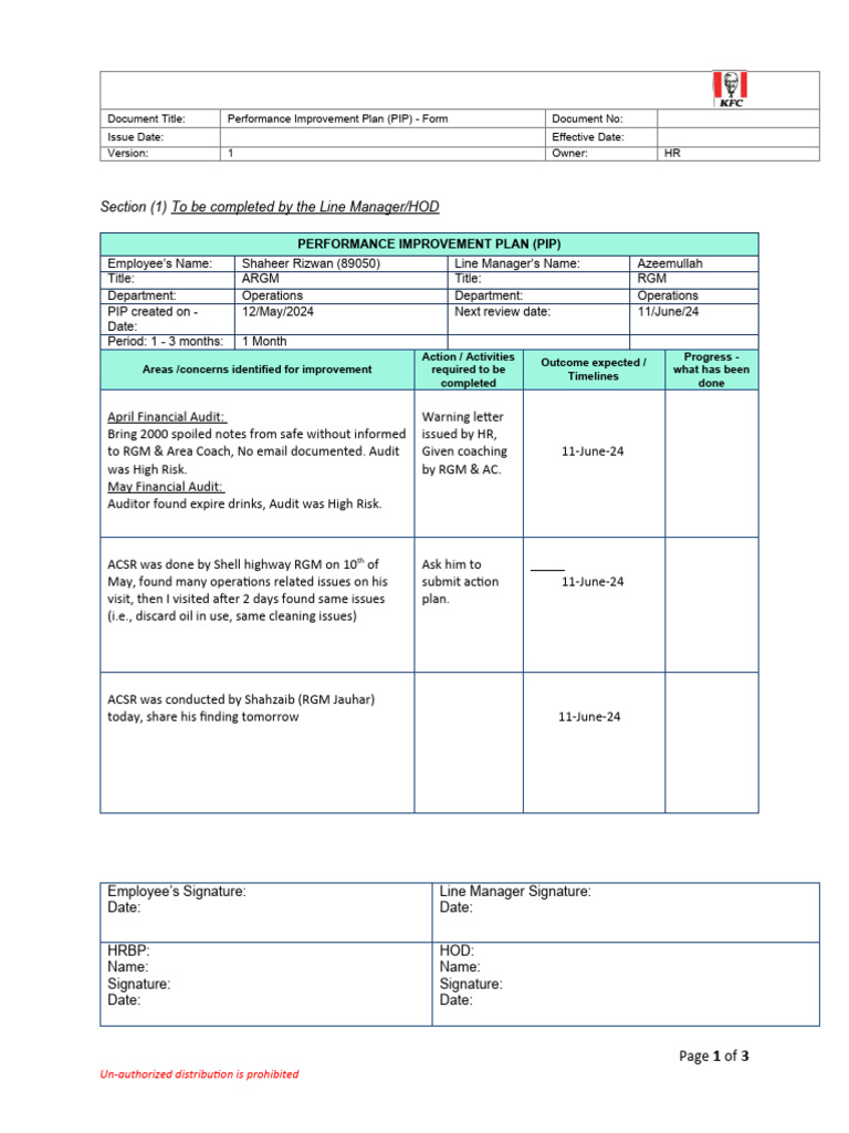 PIP Template | PDF | Audit | Business