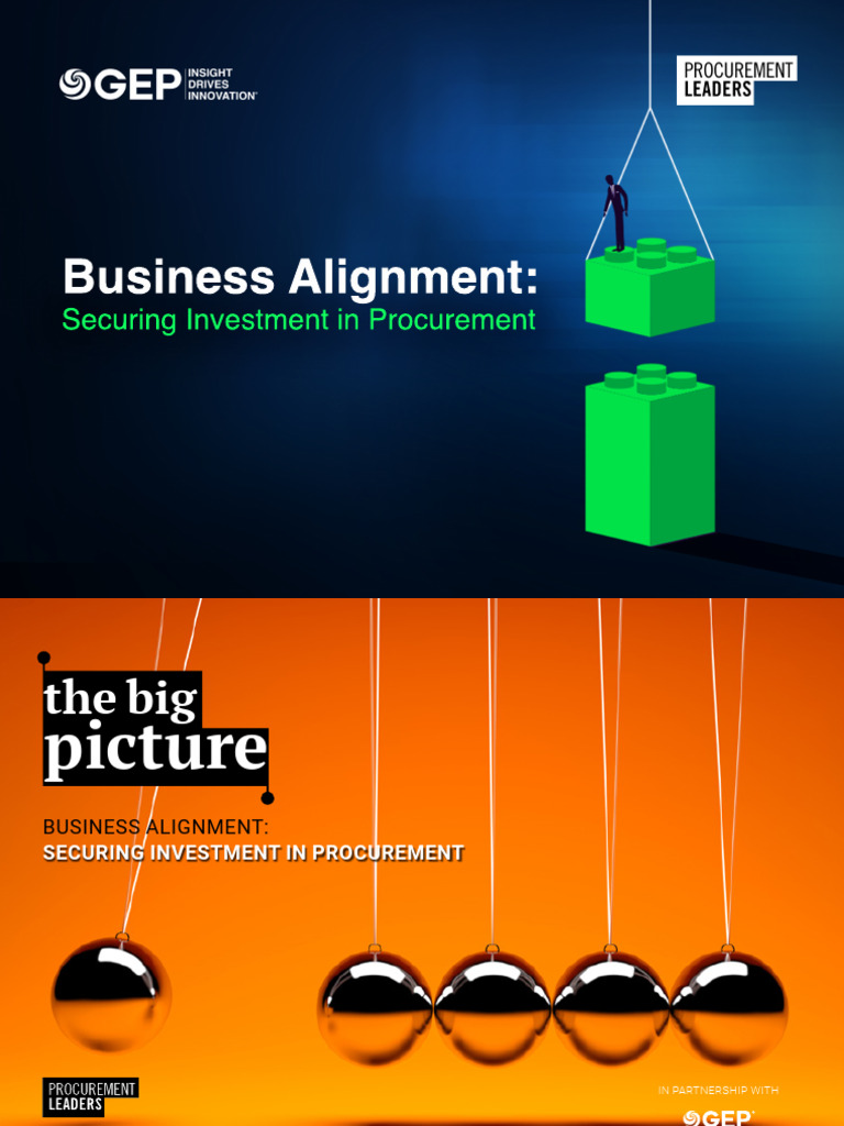 PL Big Picture Procurement Alignment Investment - v2 | PDF ...