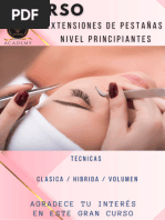 Guía de Mapeo de Pestañas | PDF