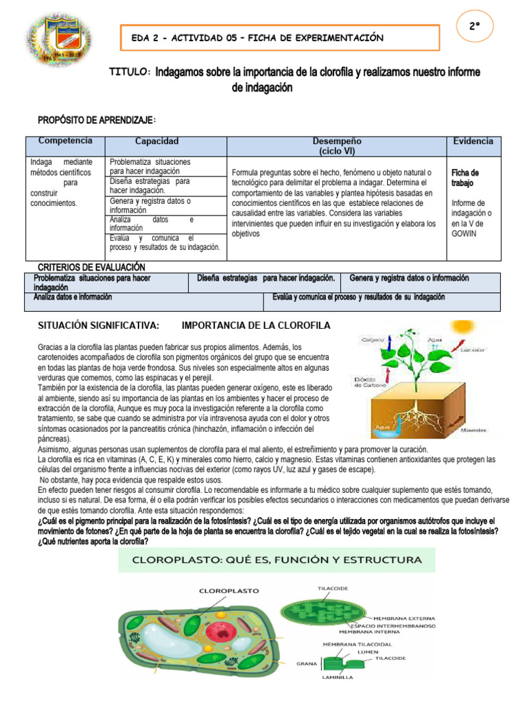 2° Act. 5 - Eda 2 - Ficha de Experimentación - Tejidos Vegetales | PDF | Clorofila | Plantas