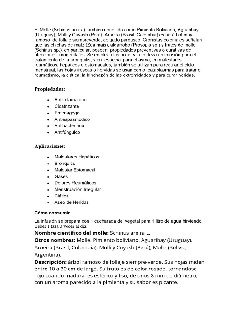 El Molle Descripcion | PDF