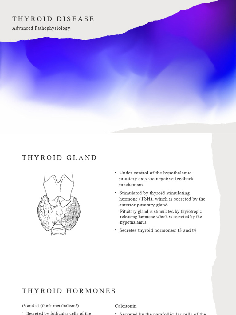 2024 Thyroid Disease Patho | PDF | Thyroid | Hyperthyroidism