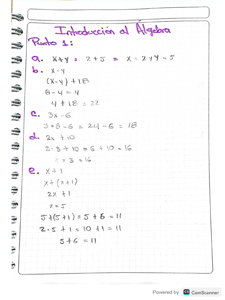 Introduccion Al Algebra | PDF