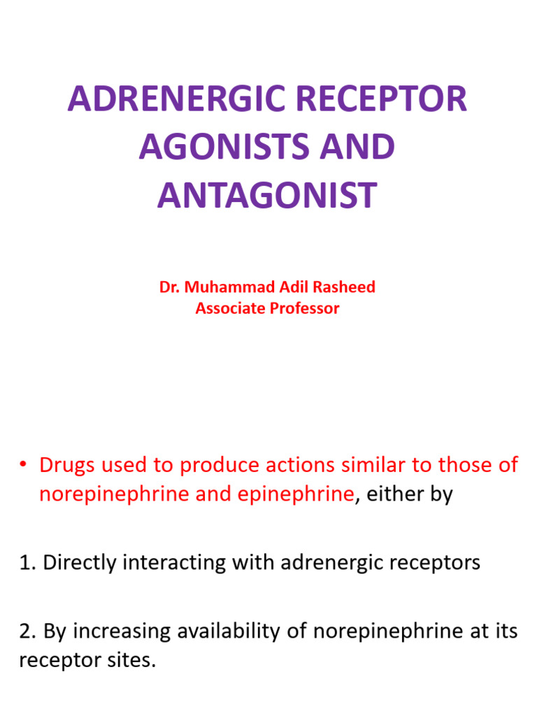 Adrenergic and Antiadrenergic Drugs | PDF | Norepinephrine | Receptor ...