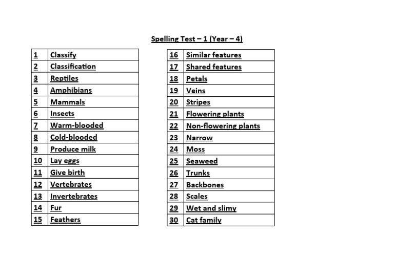 Year 4 Spelling Test 1 | PDF
