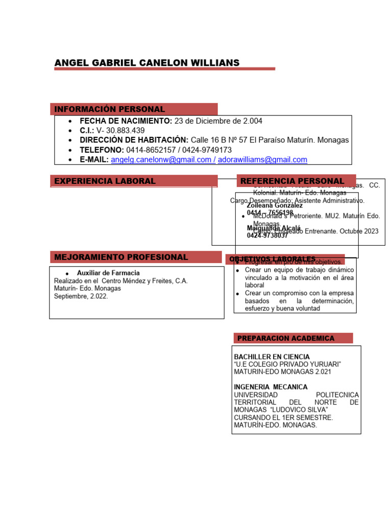 Curriculum Angel | PDF