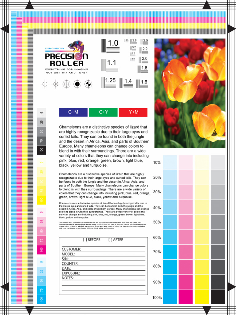 A1000 Color | PDF