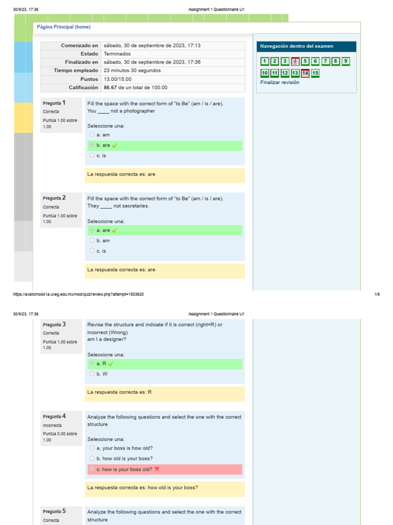 Assignment 1 Questionnaire U1 | PDF | Language Families | Morphology