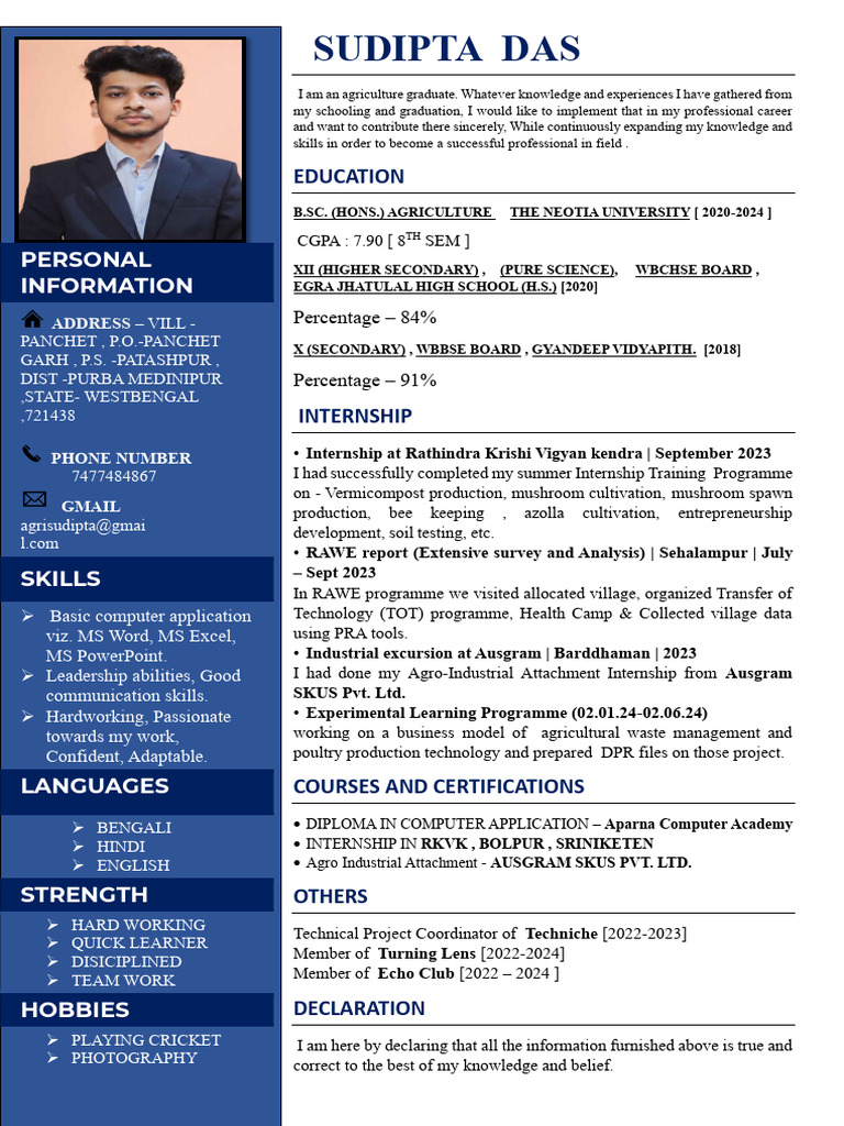 CV of Sudipta PDF | PDF