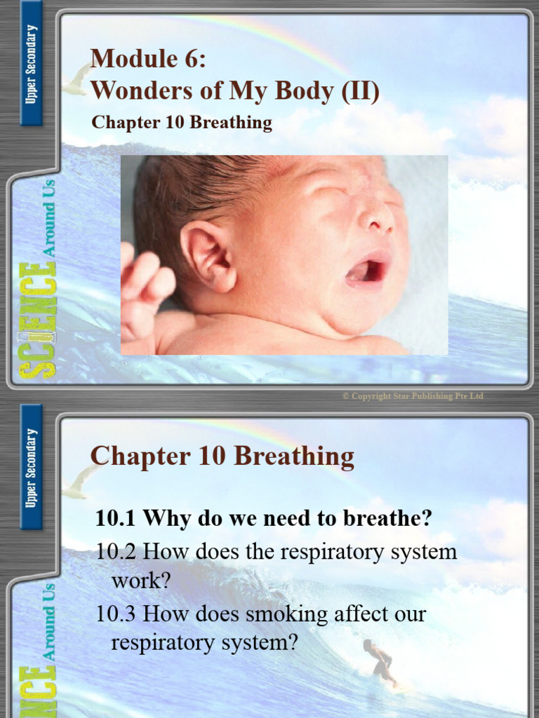 Uss Module 6 CHPT 10 | PDF | Respiratory System | Lung