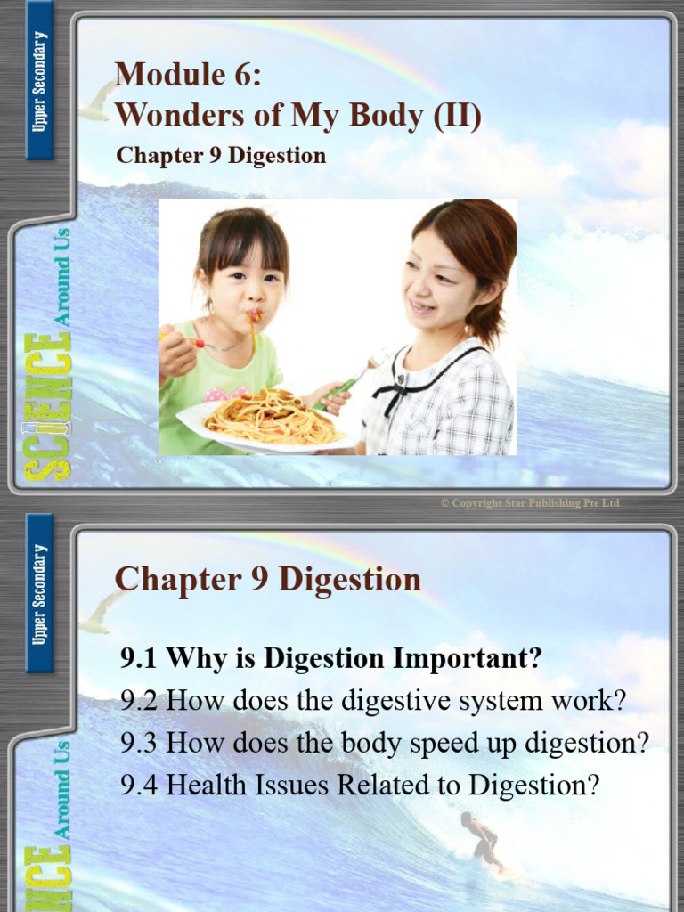 Uss Module 6 CHPT 9 | PDF | Digestion | Bile