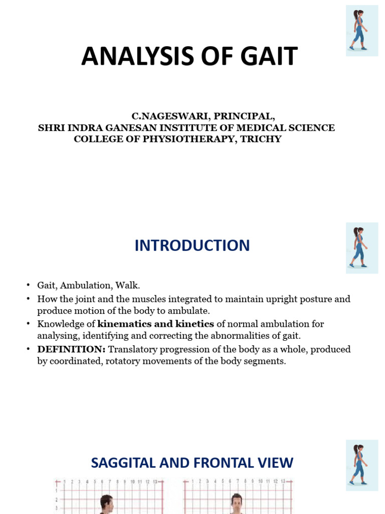 Analysis of Gait | PDF | Anatomical Terms Of Motion | Foot