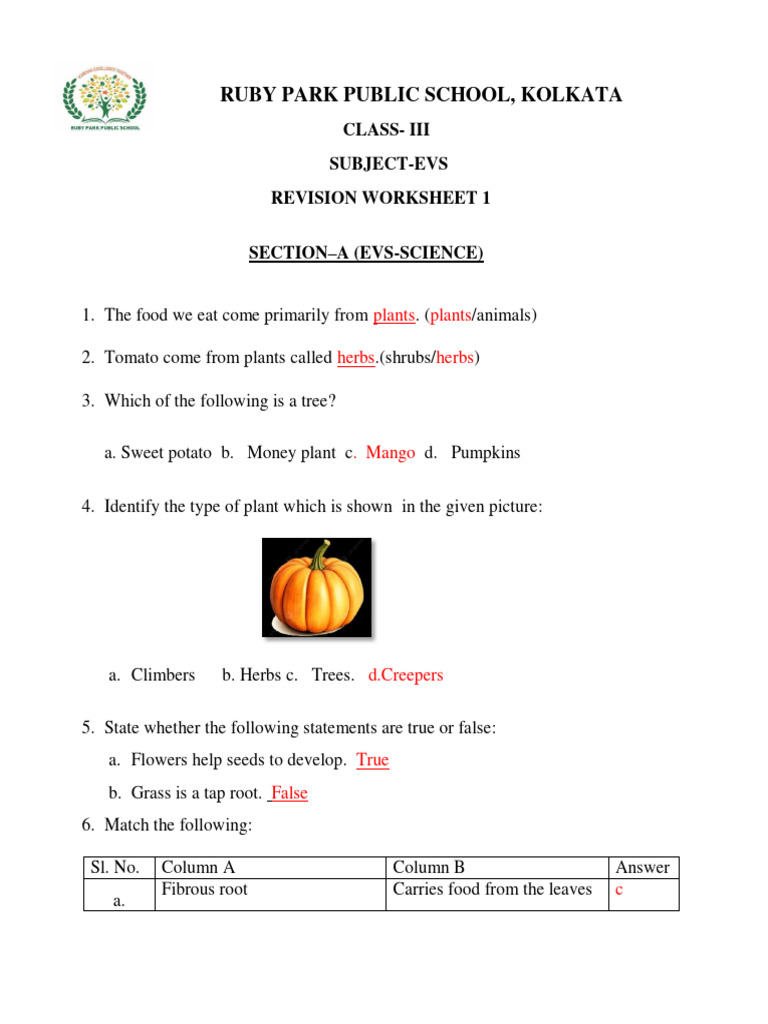 Class 3 Evs Revision Worksheet 1 Cycle 1 Ass 2 | PDF | Root | Plants