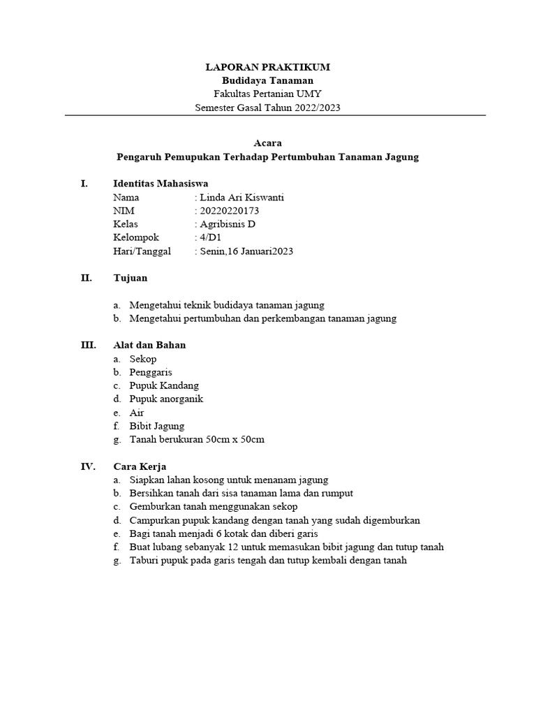 Laporan Praktikum Jagung - Linda Ari Kiswanti - 20220220173 - Agrid ...