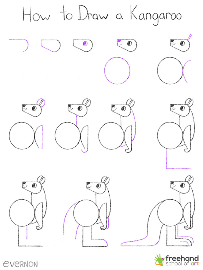 howtodraw_kangaroo | PDF