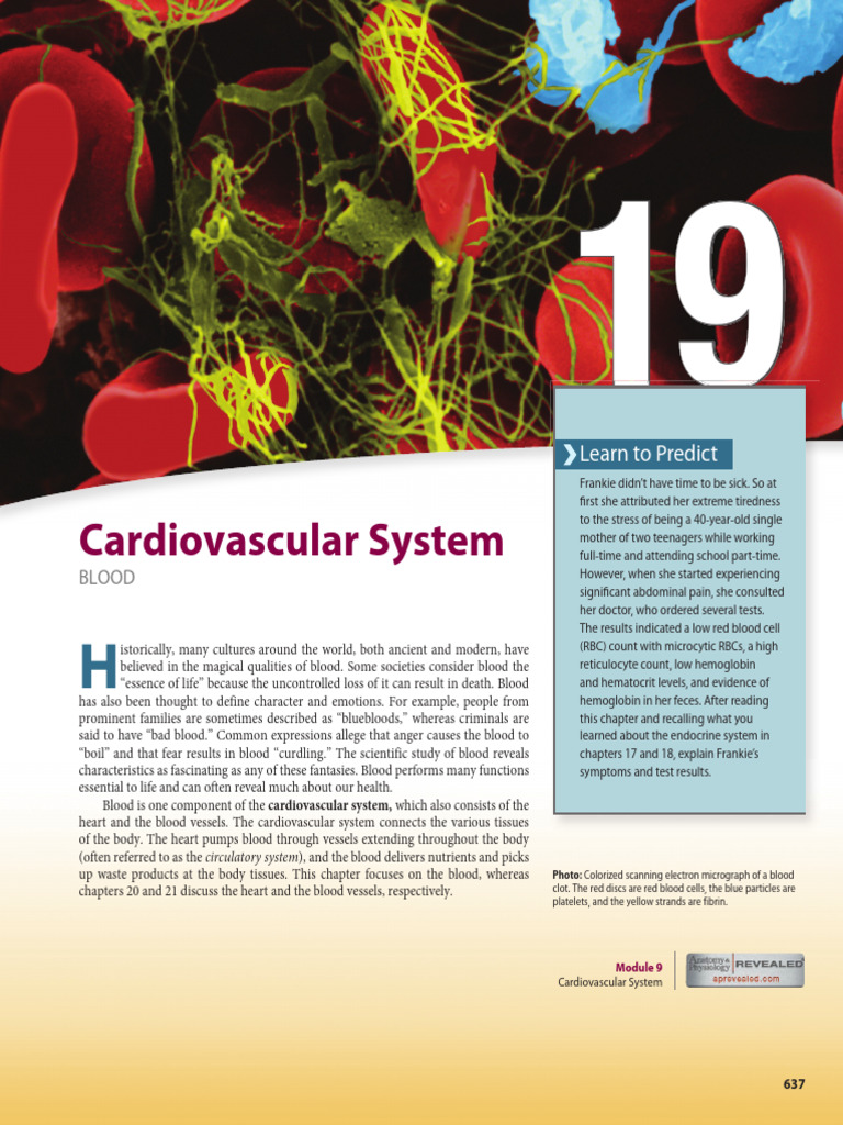Blood Functions and Composition Overview | PDF | Hemoglobin | Blood