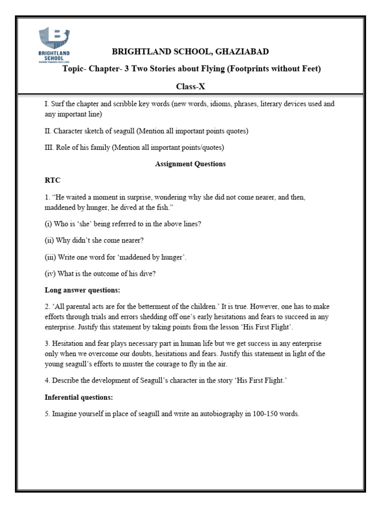 His First Flight Part I | PDF
