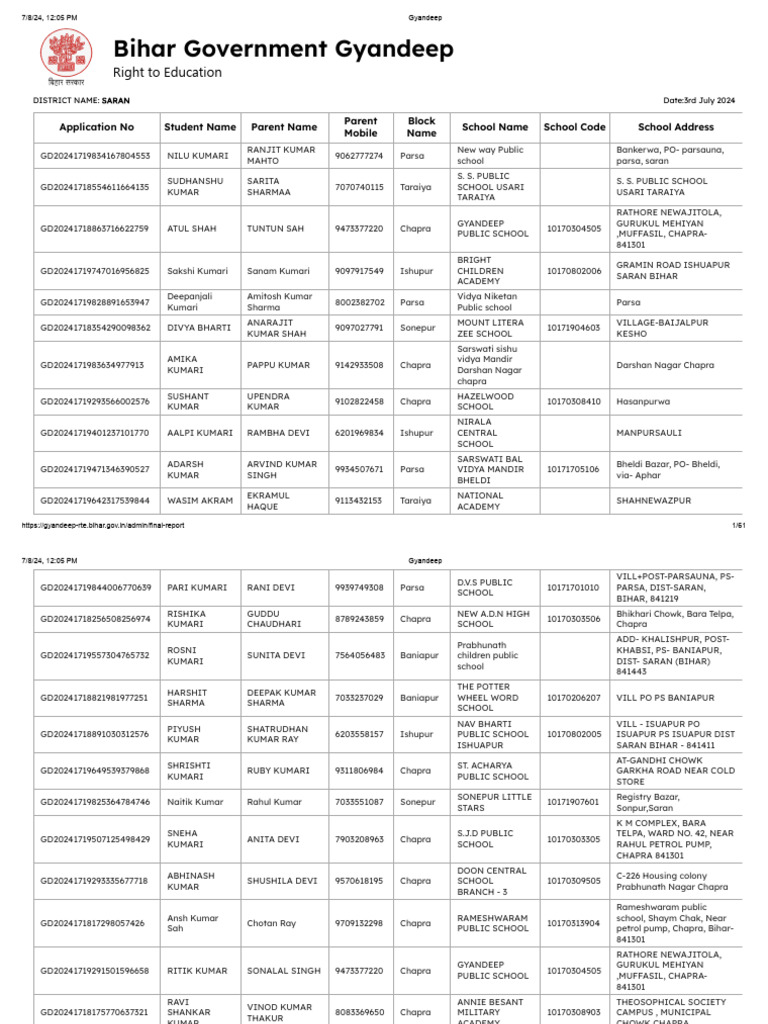 SARAN 628a4485298ceb3b3b16 | PDF
