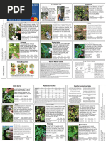 Ocean Crop Guide for Coral Island | PDF | Fruit | Vegetables