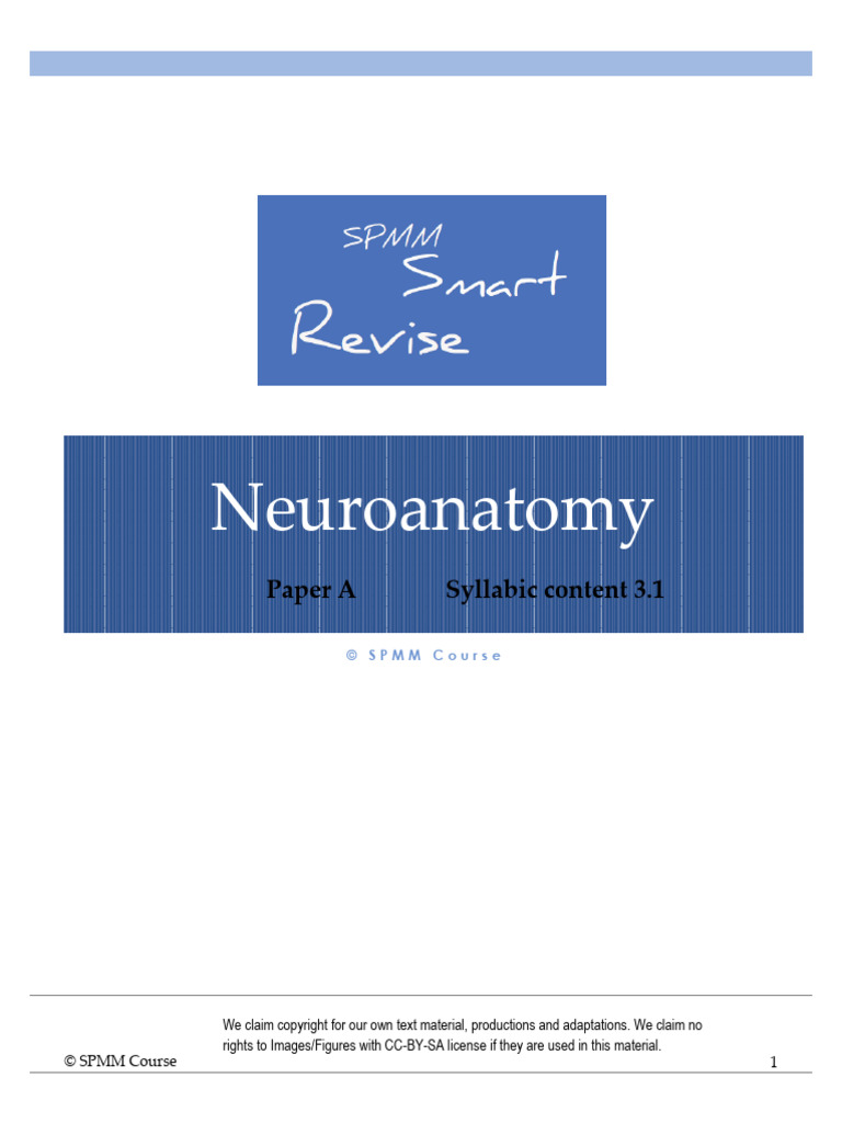 31 Neuroanatomy | PDF | Cerebral Cortex | Basal Ganglia