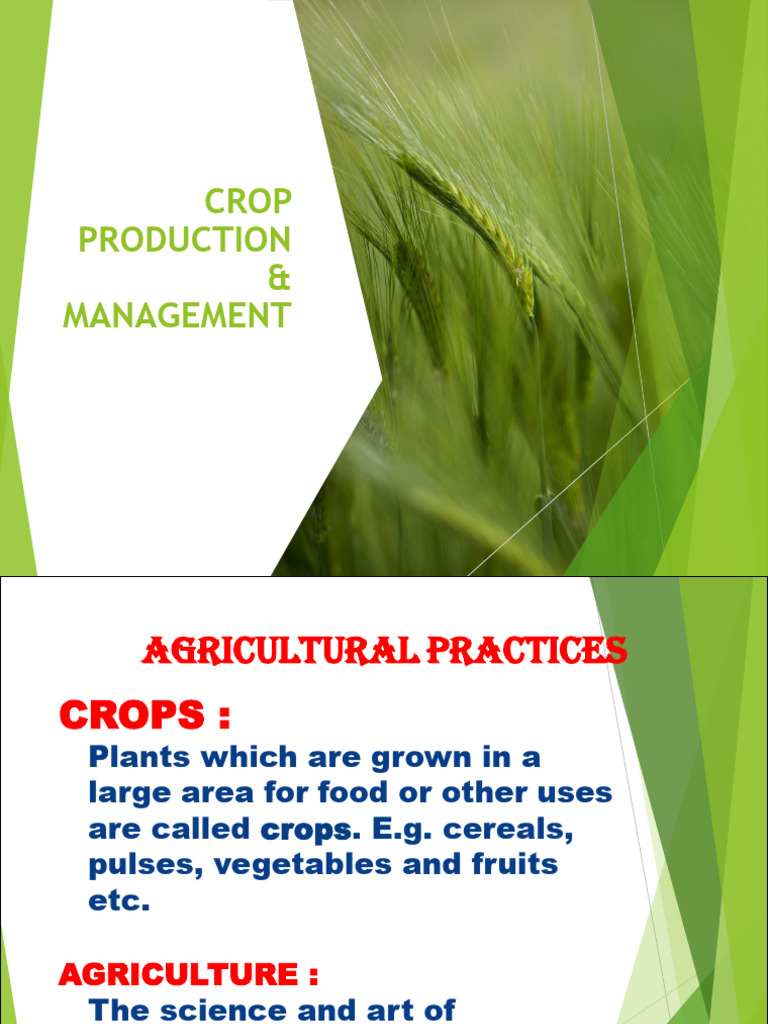 Crop Production and Management PPT Class 8 1594900412098 | PDF | Crops ...