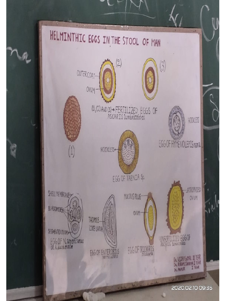 Micro Spotting Aj 2022 | PDF