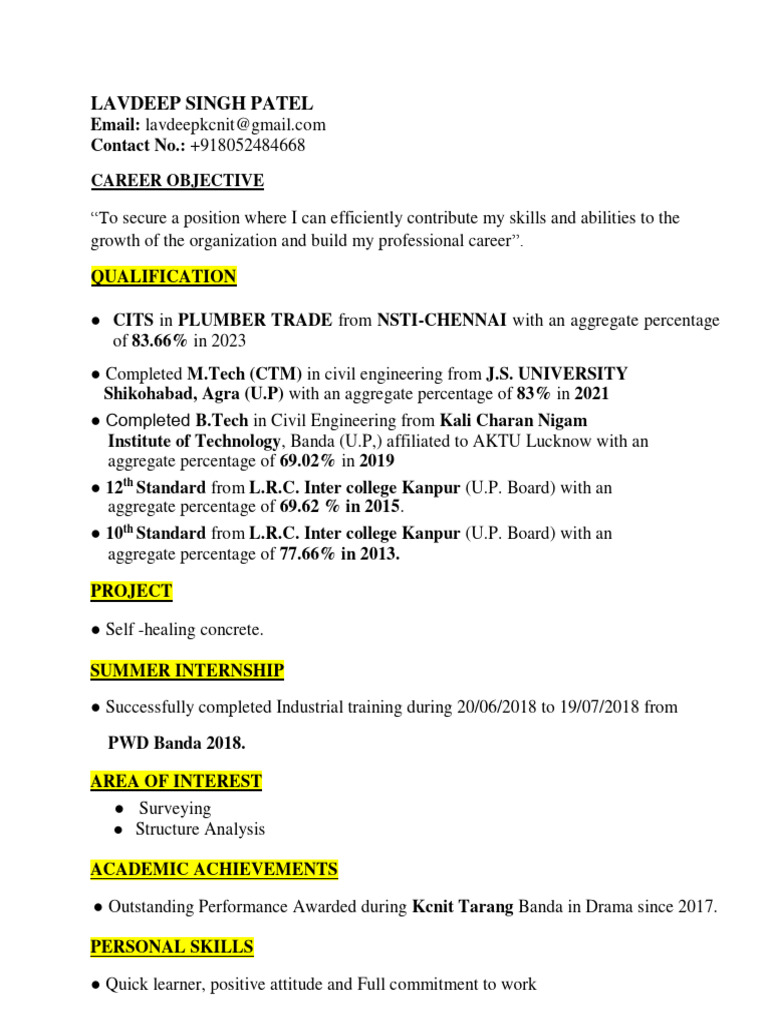 Lavdeep Resume98 | PDF | Business | Art