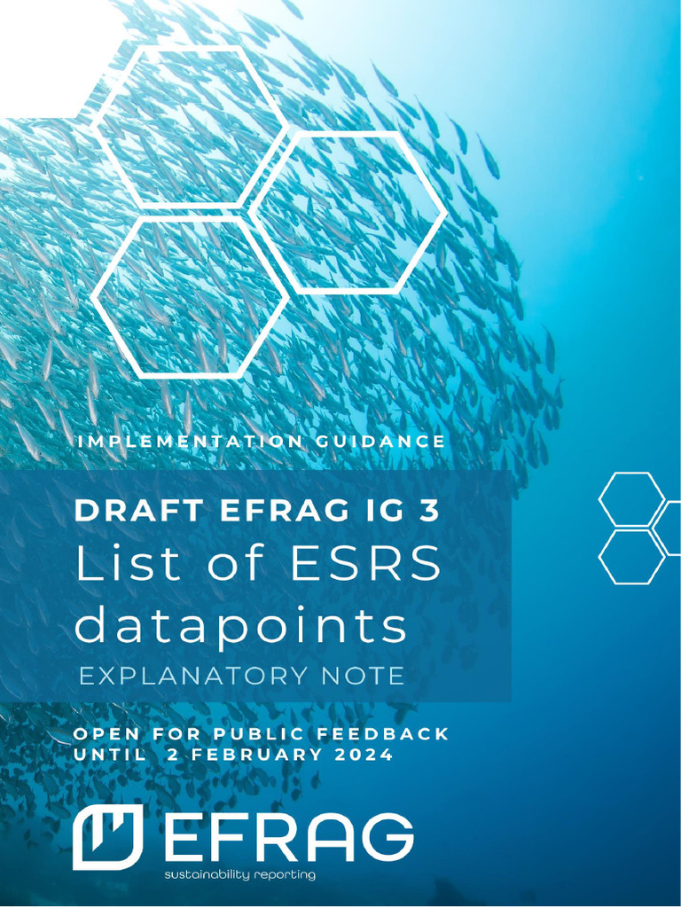 Draft EFRAG IG 3 DPs Explanatory Note 231222 | PDF | European Union | Data Type
