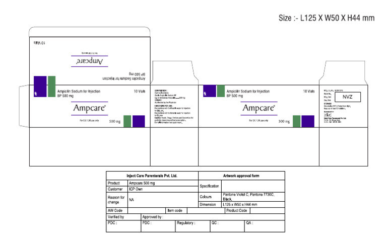 Ampcare 500 MG CRT | PDF