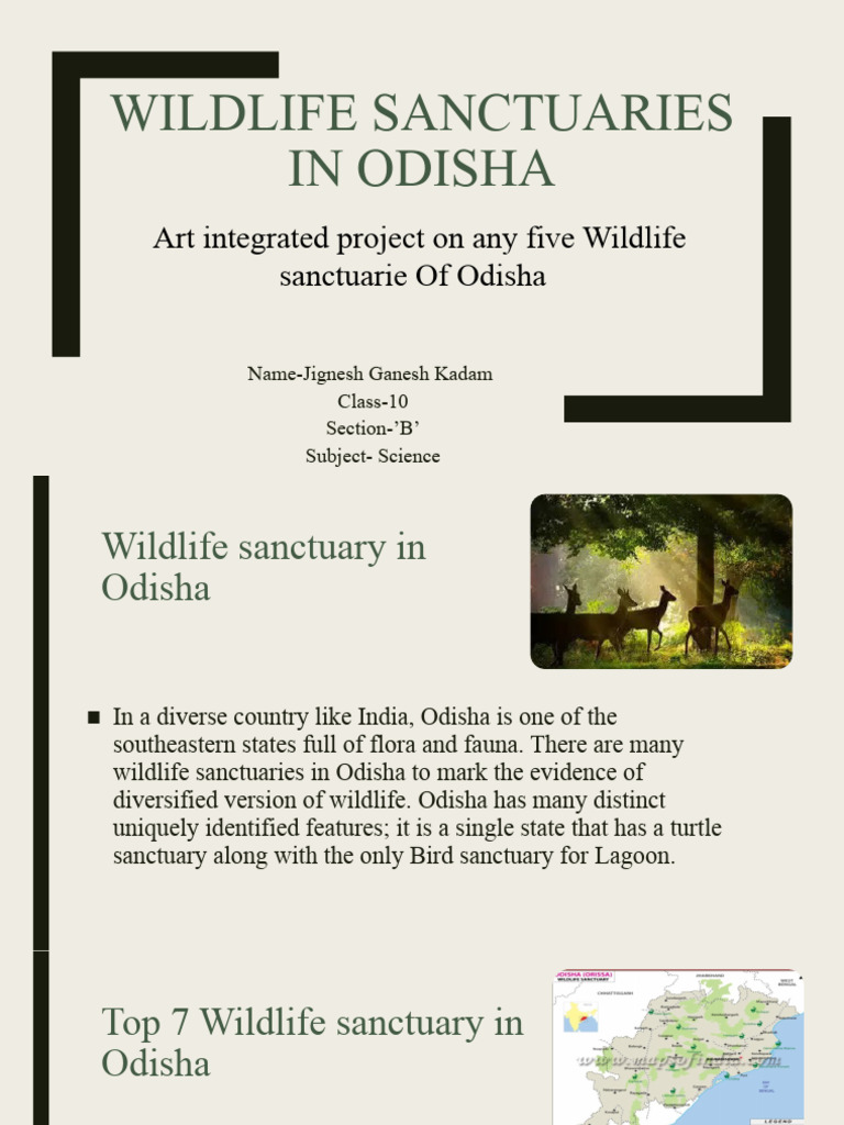 class 10th science holiday homework PPT 1 | PDF | Tiger | Wildlife