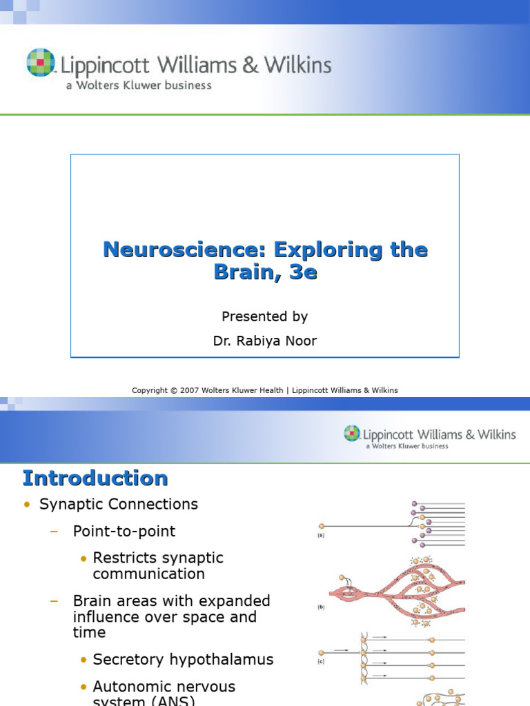 Neuroendocrine | PDF | Hypothalamus | Autonomic Nervous System