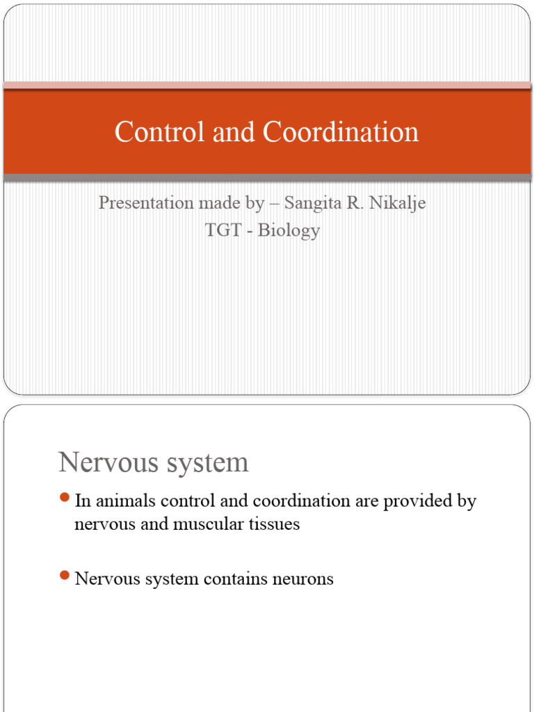 Control and Coordination | PDF | Science & Mathematics