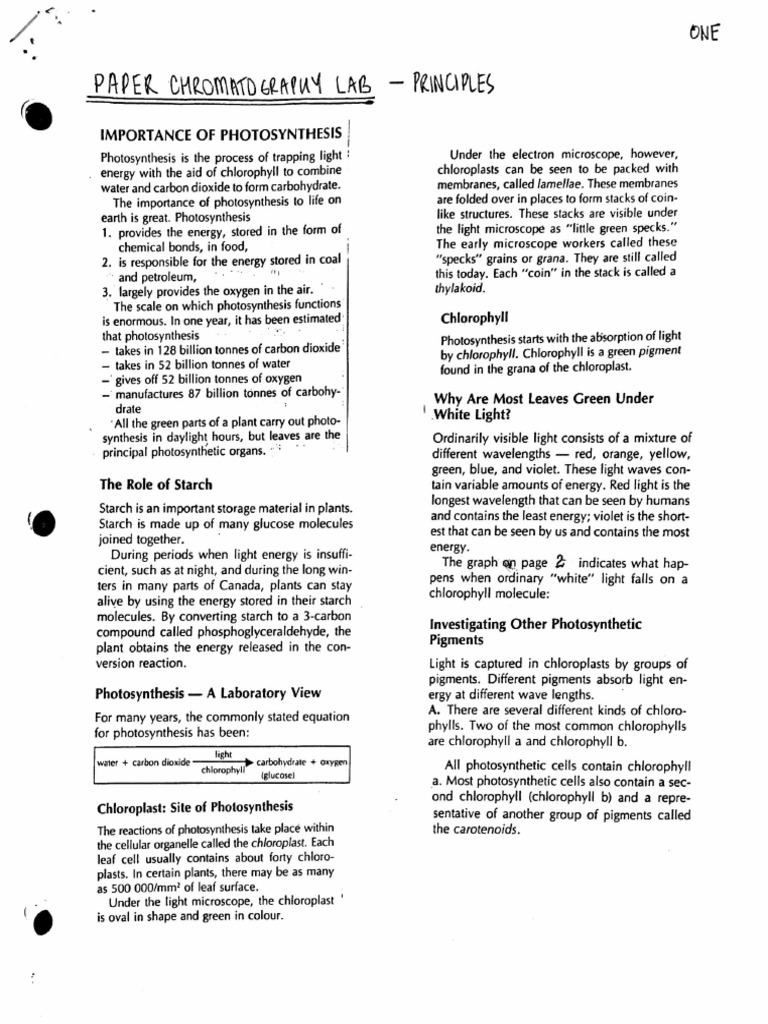 Photosynthesis Lab Handout | PDF