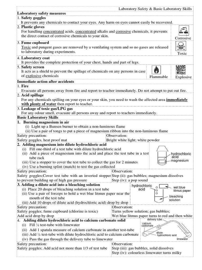 Lab Safety - Basic Skills Answer | PDF | Magnesium | Laboratories
