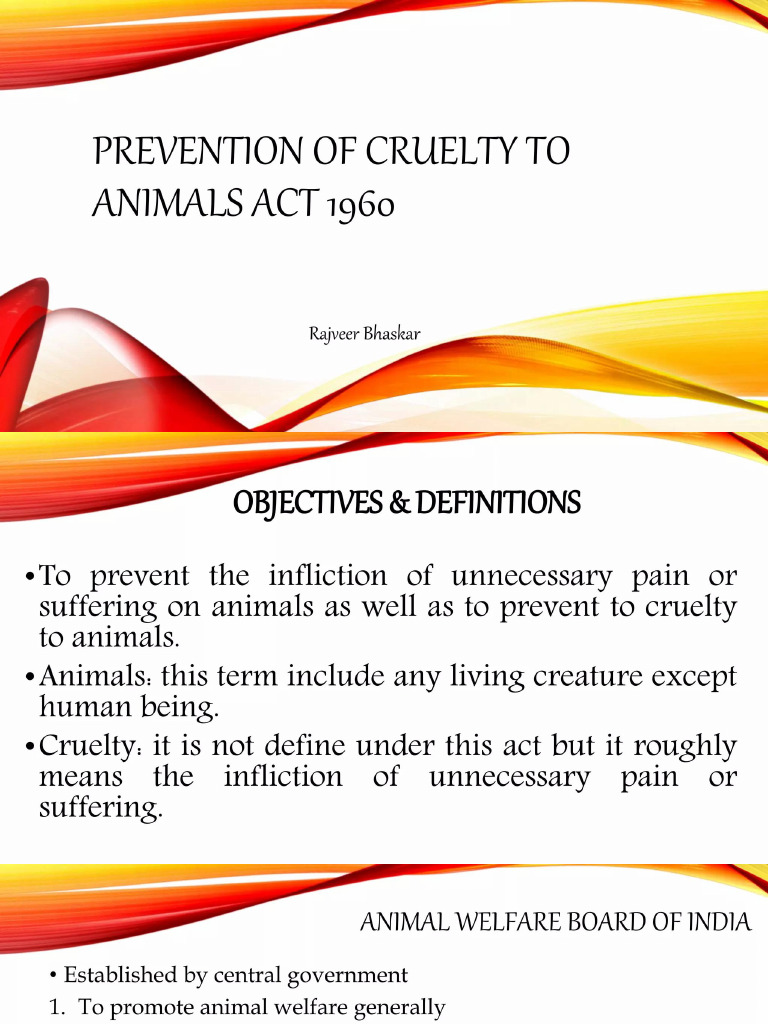 The Prevention of Cruelty To Animals Act 1960 | PDF