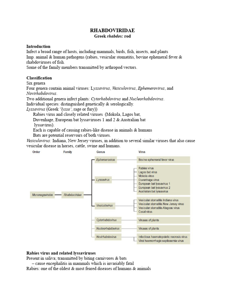 Rhabdo Viri Dae | PDF | Rabies | Virus